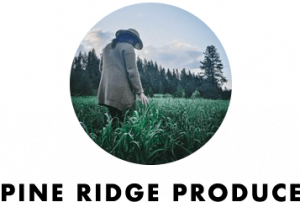 Vernon's Best Breakfast & Lunch Spot | EATology Restaurant