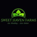 Vernon's Best Breakfast & Lunch Spot | EATology Restaurant